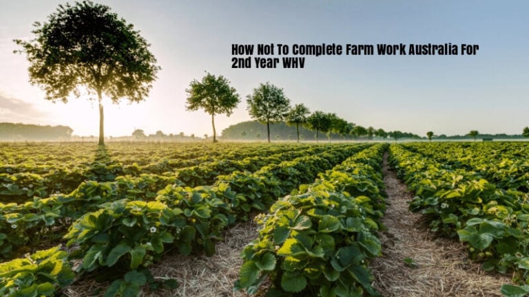 Farm Work Australia - Our Nightmare Regional Work Story
