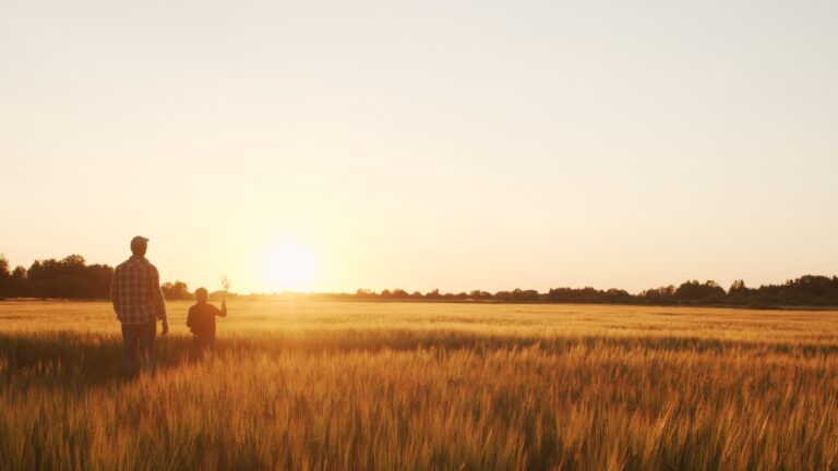 100+ Sunset Quotes That Prove Just How Beautiful They Are